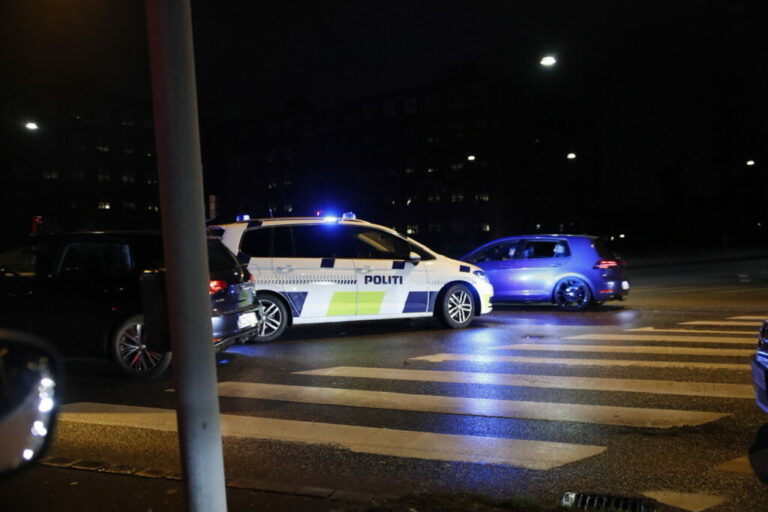 Brudgom og teenagedatter gik amok: Affyrede haglgevær og brækkede ...