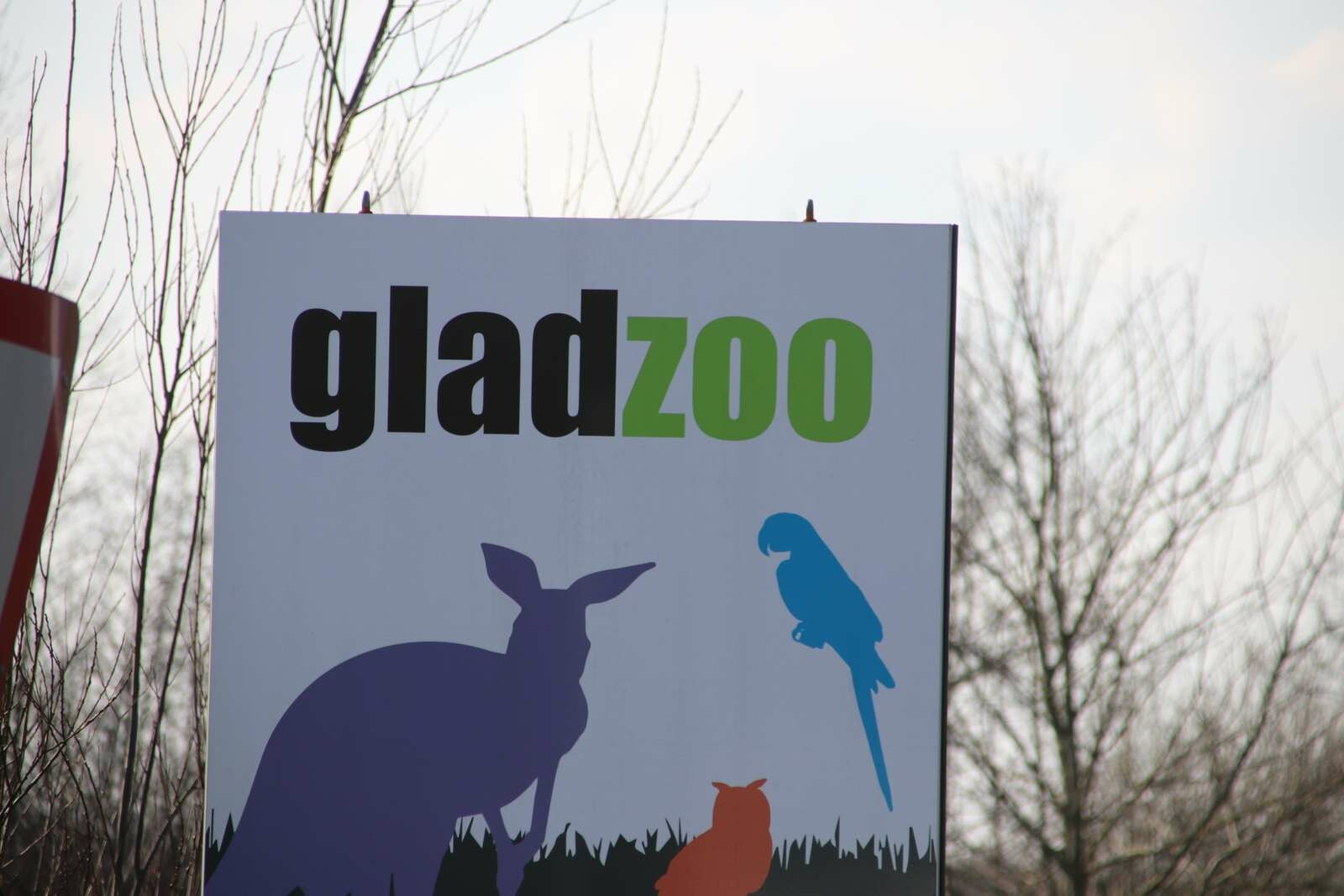Zoo savner stadig kænguru
