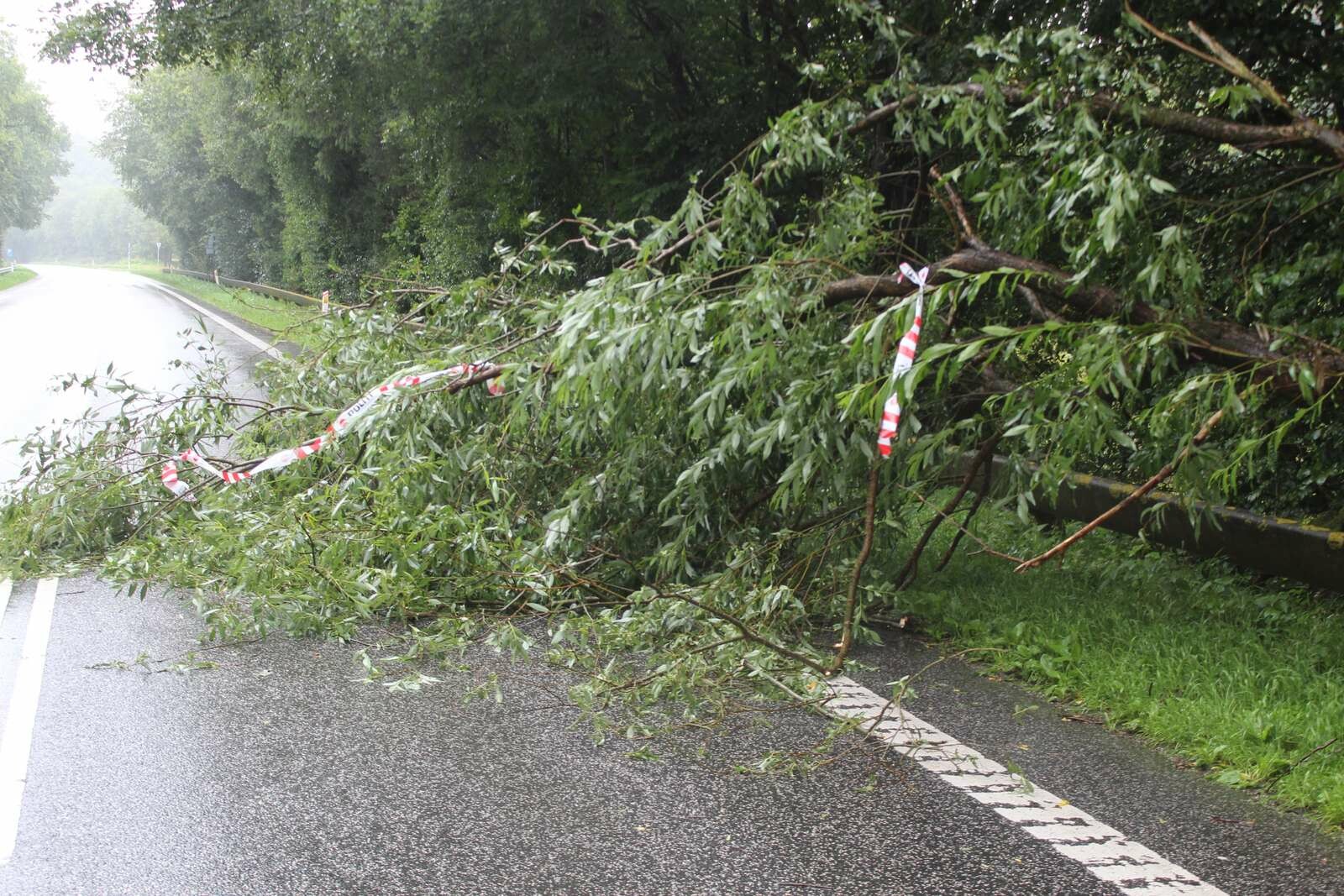 Pas på! Tabt gods og væltet træ!