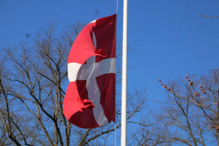 Konservative: Du må kun hejse dansk flag i Danmark