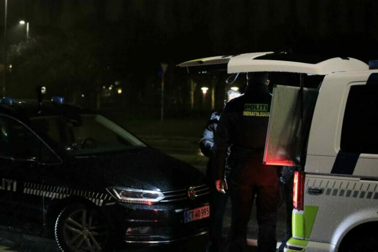 To asylansøgere trak teenager ind i gyde og voldtog hende