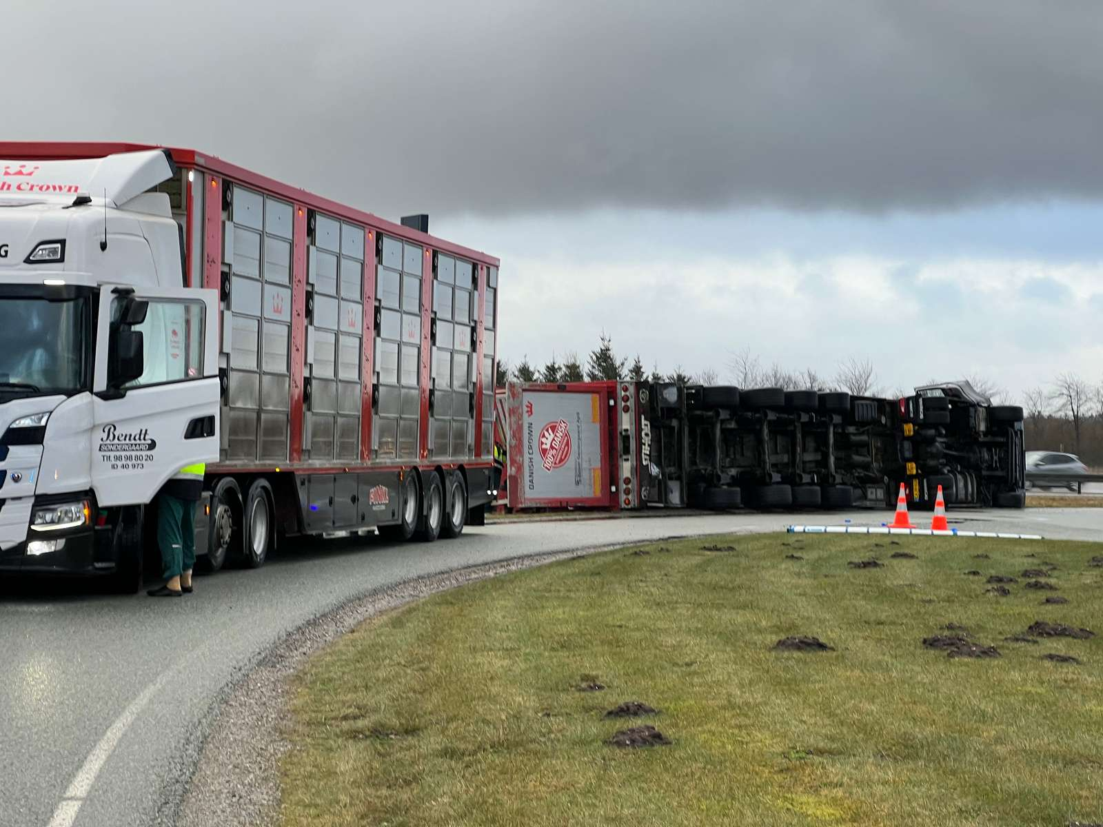 Grisetransport med 210 svin vælter i sving på rasteplads
