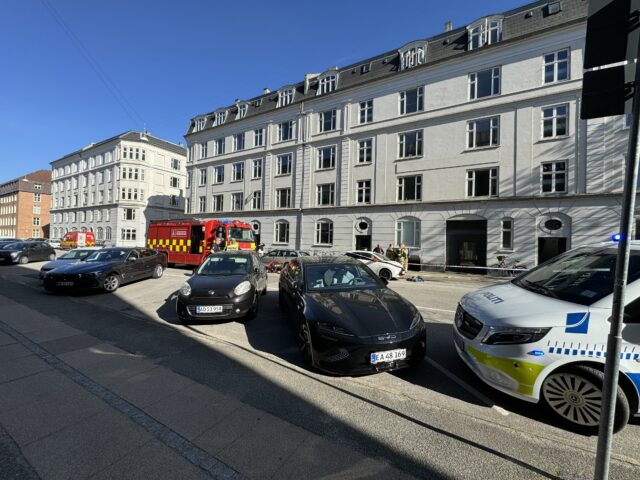 Mai Manniche sat på plads af kongehuset Mai Manniche sat på plads af kongehuset