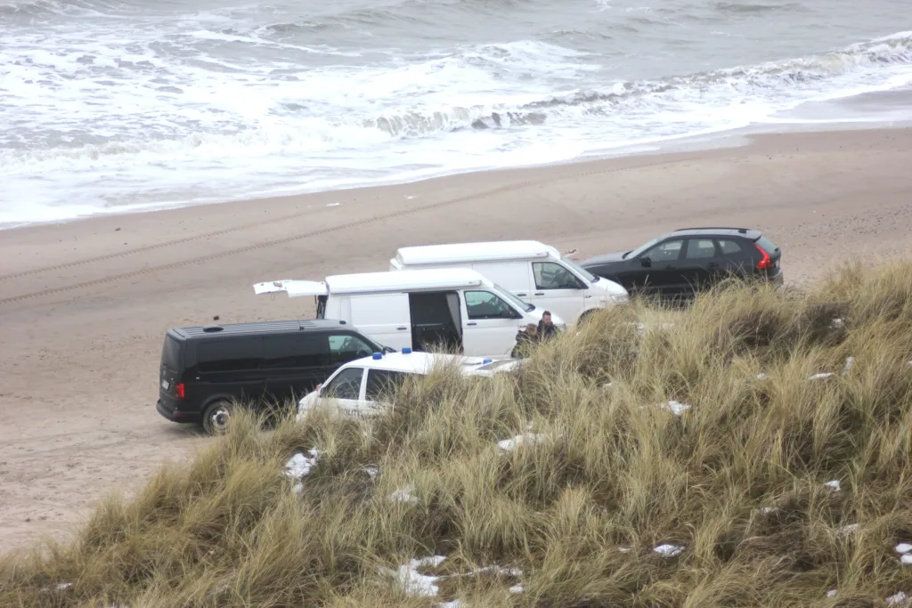 Fjæsing med giftpigge breder sig langs danske kyster
