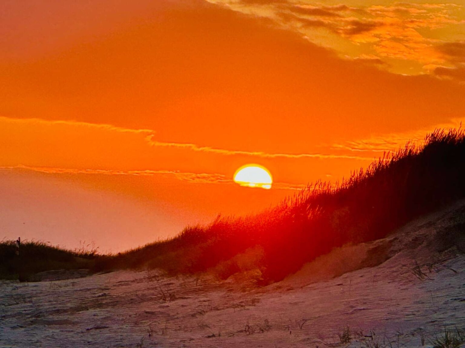 Årets varmeste dag i dag: Vilde temperaturer målt